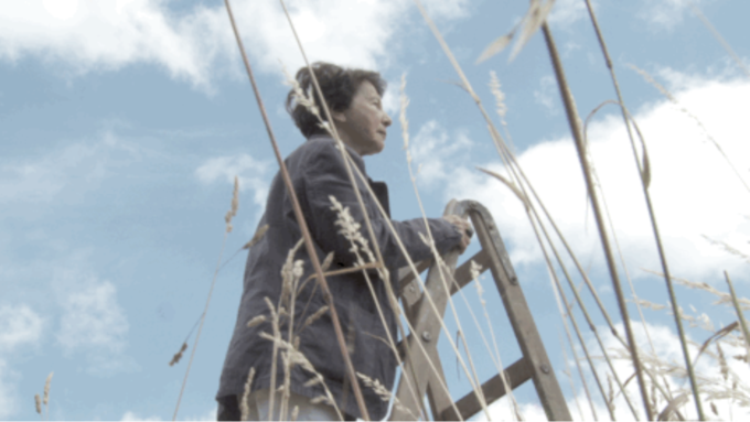 LARISSA : une quête impérieuse - Actualités - LYCEE LOUISE MICHEL